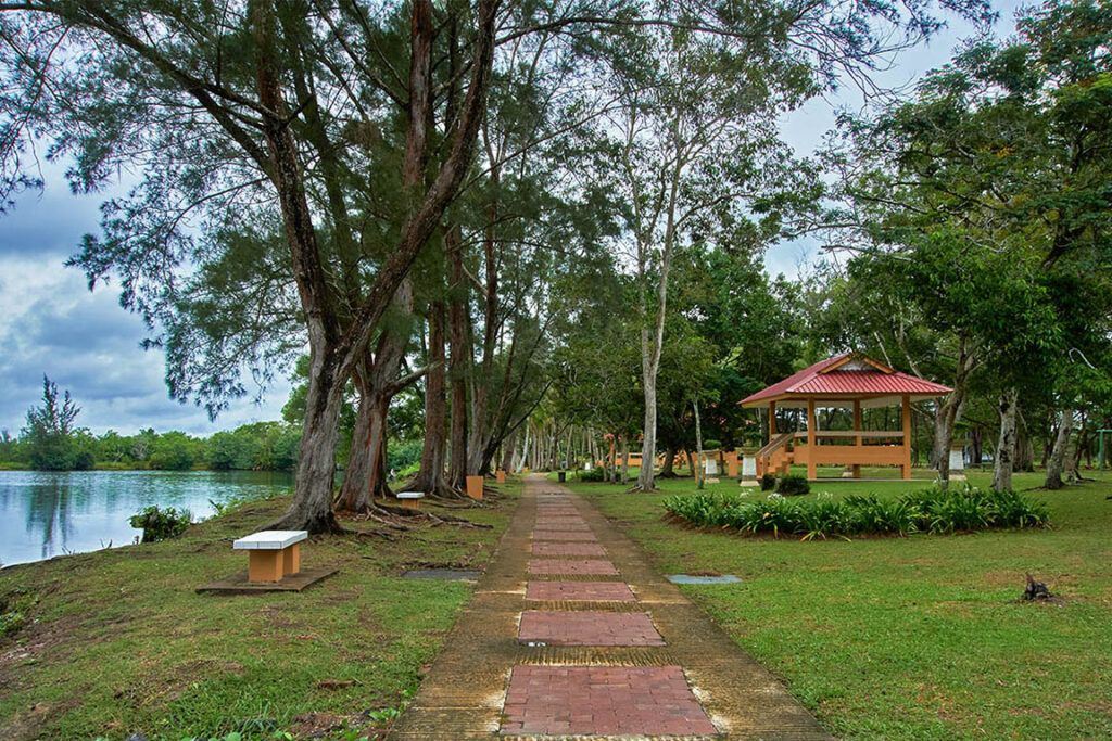 Proboscis Monkey Tour – Brunei Tourism