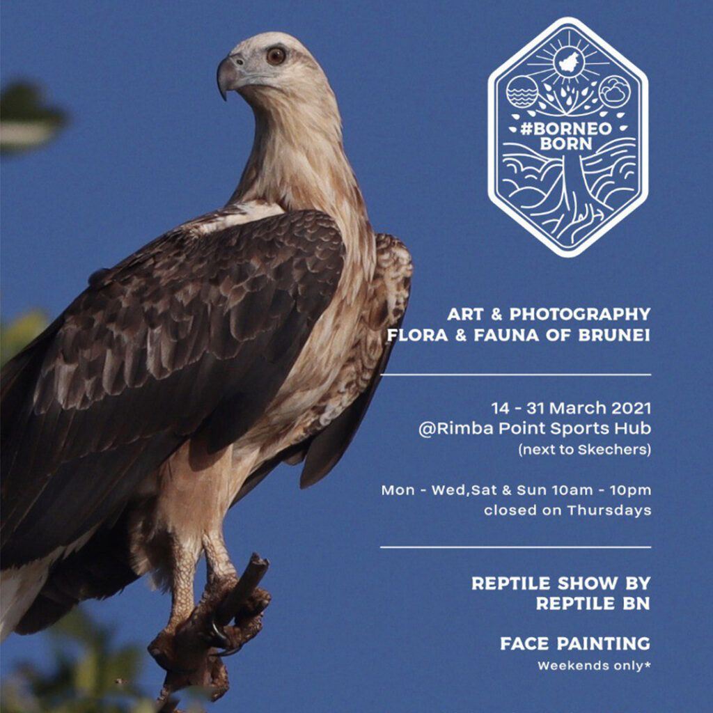 Teraja Waterfalls – Brunei Tourism